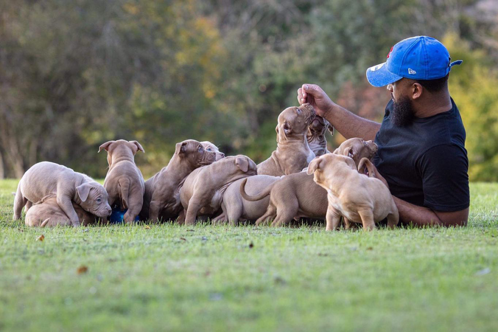 Welcome to Bluegrass Bullies of KY